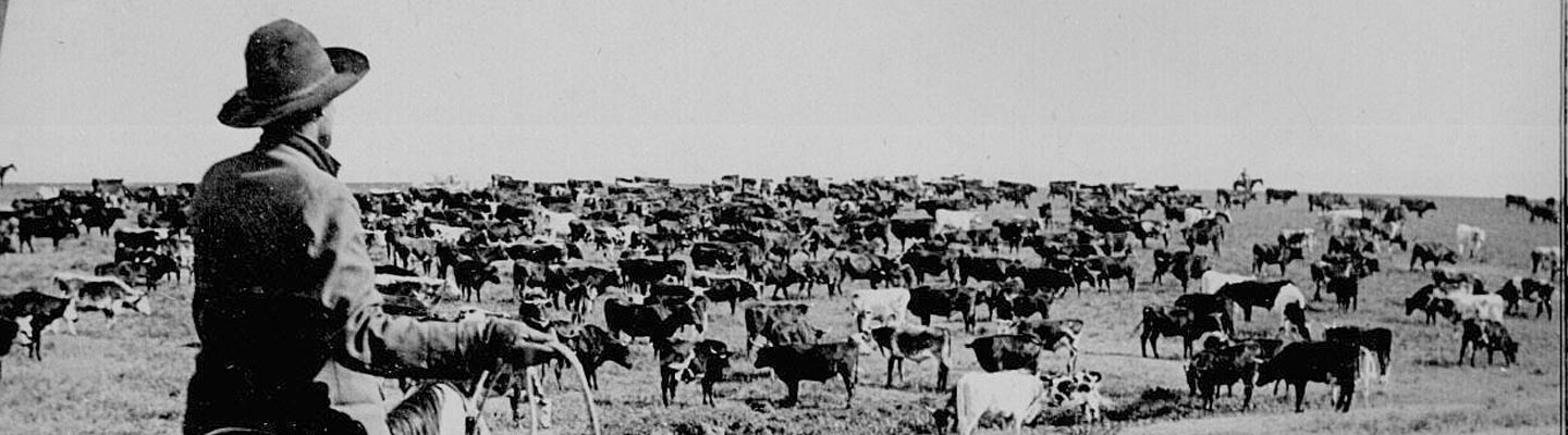 New Perspectives: The Old Chisholm Trail | Bullock Texas State History ...