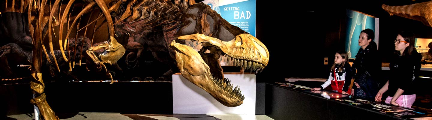 Upcoming Exhibitions | Texas State History Museum