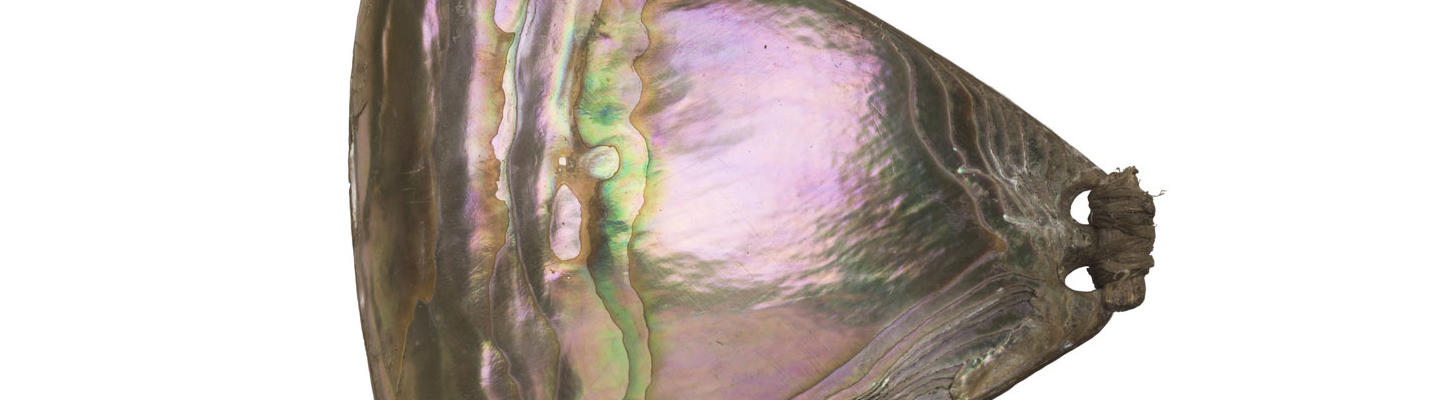 Abalone Pendant from West Texas | Bullock Texas State History Museum