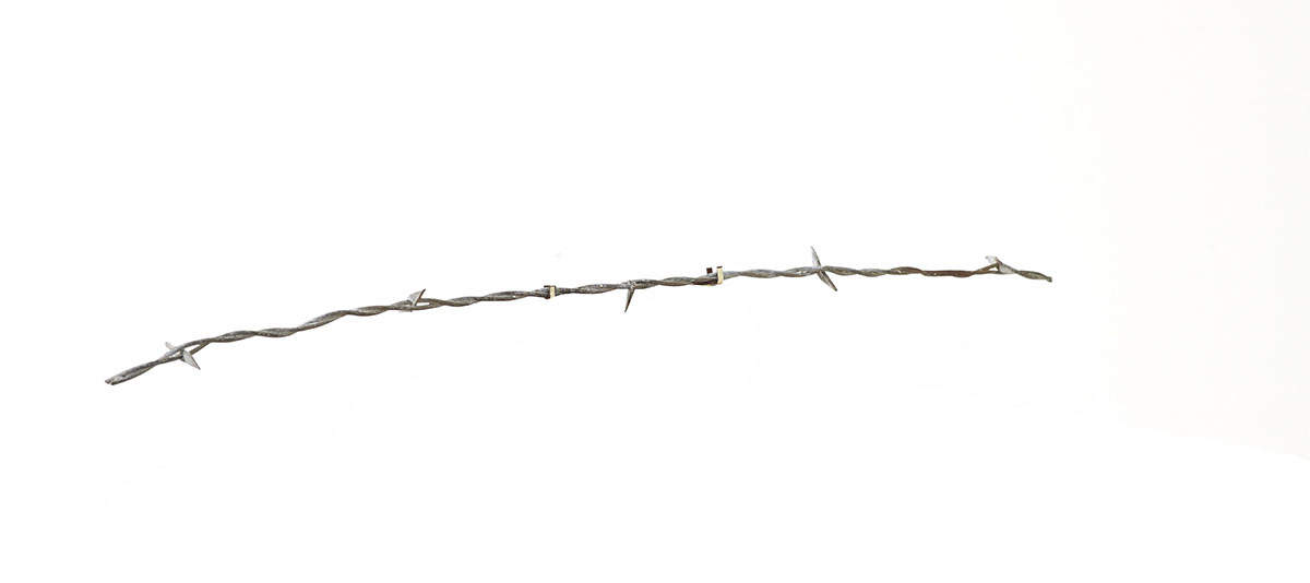 Barbed Wire Fence Cattle 1800s