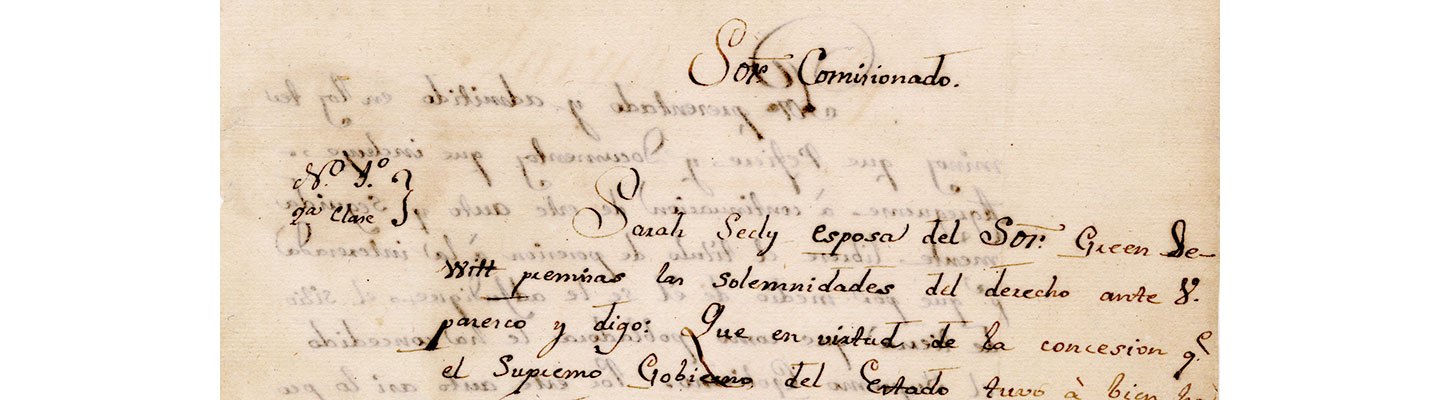 Sarah Seely DeWitt's petition for a Mexican land grant | Bullock Texas ...