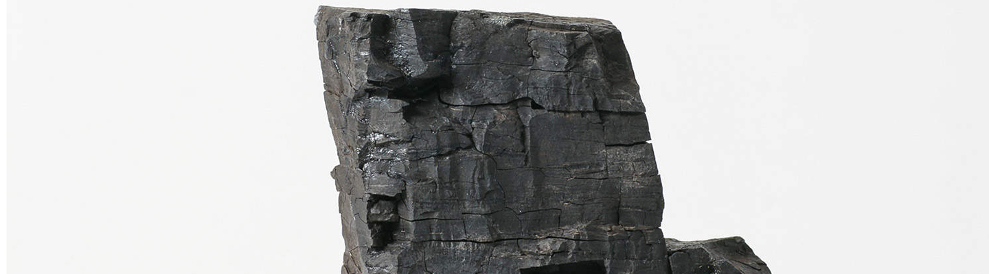 Texas Mined Lignite Specimen | Texas State History Museum