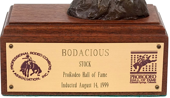 Bodacious Bucking Bull