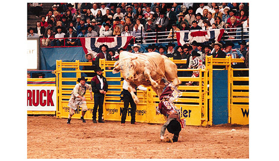 Bodacious Bull Poster