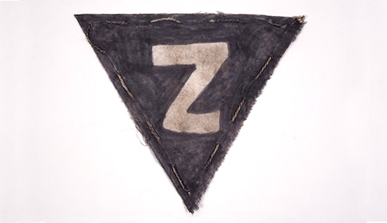 Holocaust Symbols And Their Meanings