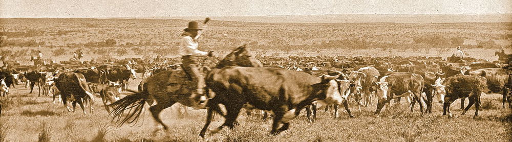 Evenings Out: Rodeo Trivia