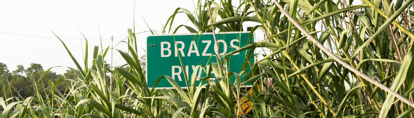 God of the Whirlwind Panel Discussion | Bullock Texas State History Museum