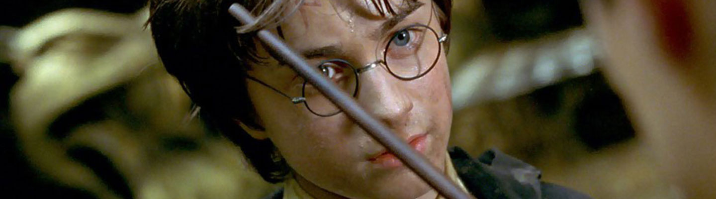 Harry Potter and the Chamber of Secrets | Bullock Texas State History ...