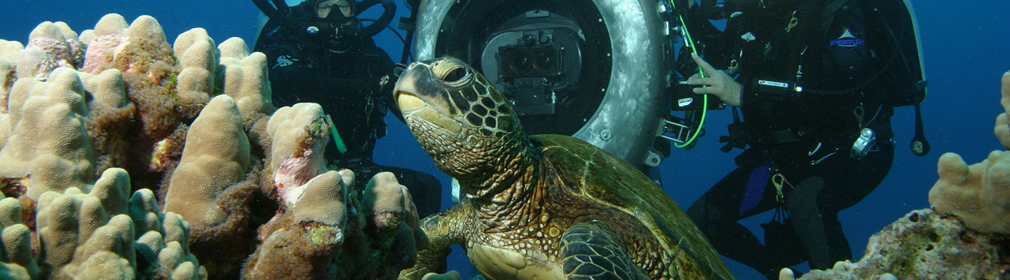 Deep Sea 3D | Bullock IMAX Theater