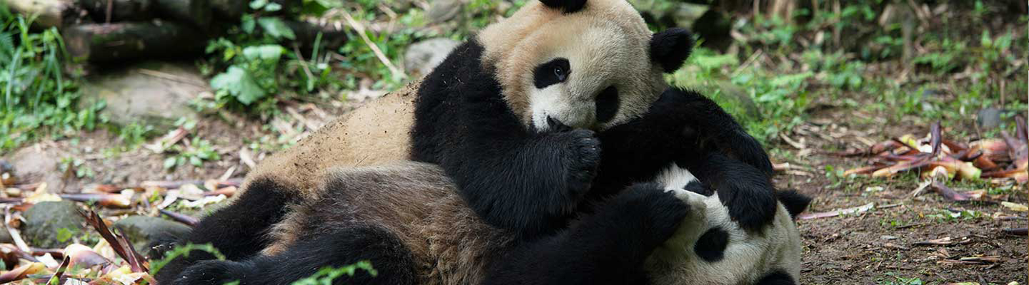 Bullock IMAX® and Texas Spirit Theater - Experience the best in ...