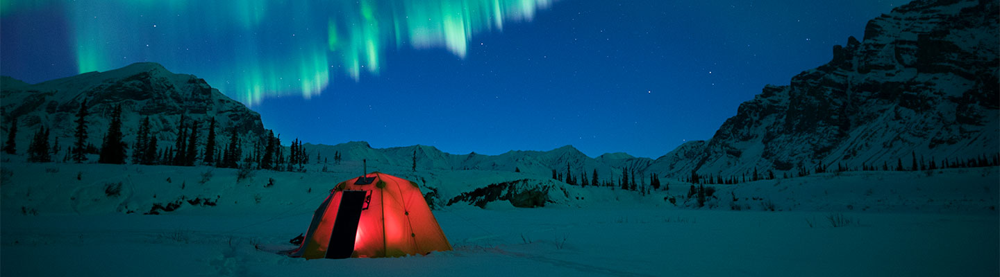 The Arctic: Our Last Great Wilderness | Bullock Texas State History Museum