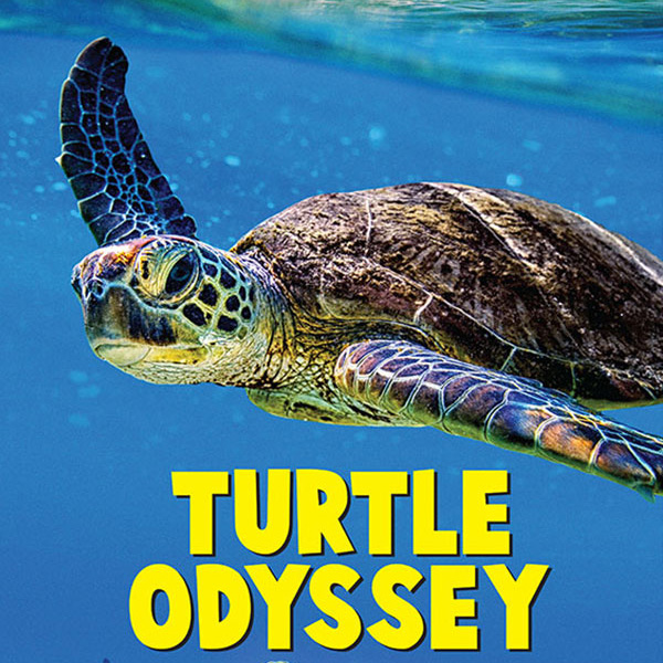 Student Activity Guides | Bullock Texas State History Museum