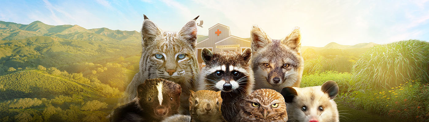 Wild Rescue | Bullock Texas State History Museum IMAX