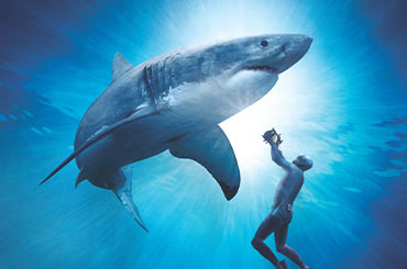 The Bullock Texas State History Museum