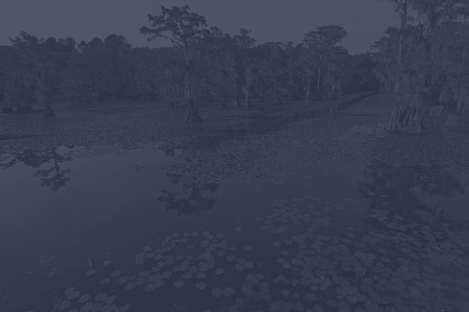 The Bragg Lights in Hardin County, Texas